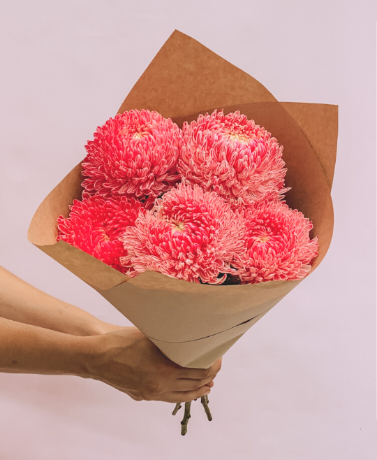 Flower Haul | Fluffy Cloud Pom Pom Disbuds | Free Delivery & Afterpay