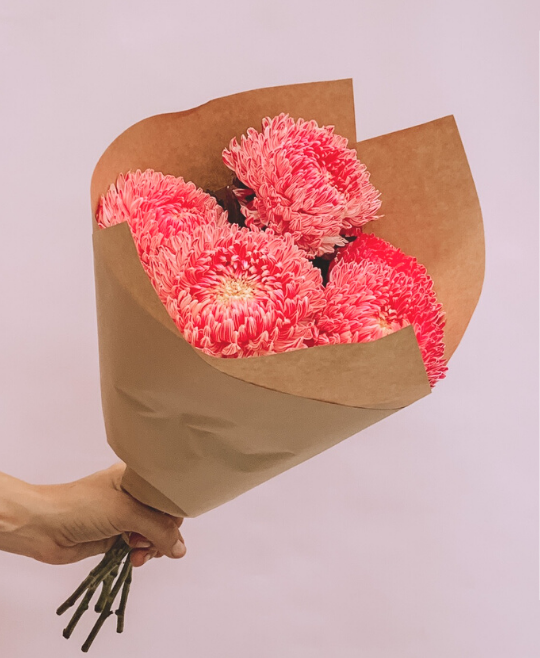 Flower Haul | Fluffy Cloud Pom Pom Disbuds | Free Delivery & Afterpay